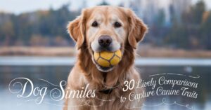 Dog Similes: 30 Lively Comparisons to Capture Canine Traits